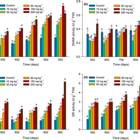 Apx Ascorbate Peroxidase A Dhar Dehydroascorbate Reductase B
