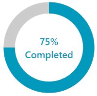 Custom Content Telerik UI For WPF