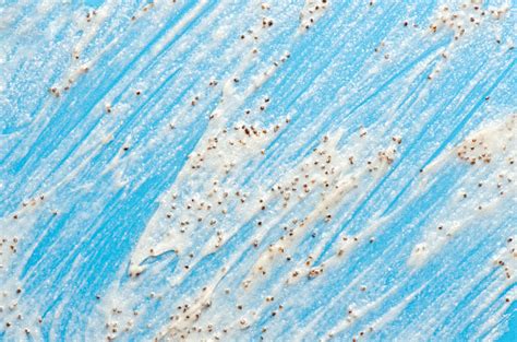 살구 씨앗과 화장품 스크럽의 질감 각질 제거 스킨 케어 제품 문질러 씻기에 대한 스톡 사진 및 기타 이미지 문질러 씻기 보습제 0명 Istock