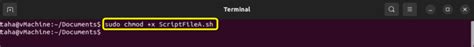 Understanding Chmod X Making Files Executable Linuxways