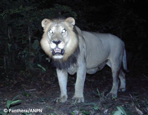 Anna Preis Posted On Linkedin