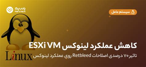 کاهش ۷۰ درصدی عملکرد لینوکس Esxi Vm با حمله Retbleed پارس‌پک