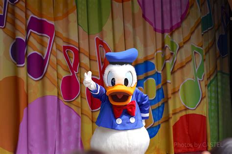 ジャンボリミッキー！レッツ・ダンス！のドナルド キャステル Castel ディズニー情報