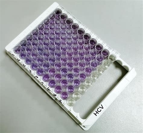 Premium Photo Enzyme Linked Immunosorbent Assay Or Elisa Plate For