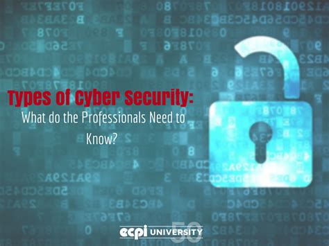 Types Of Cyber Security What Do The Professionals Need To Know