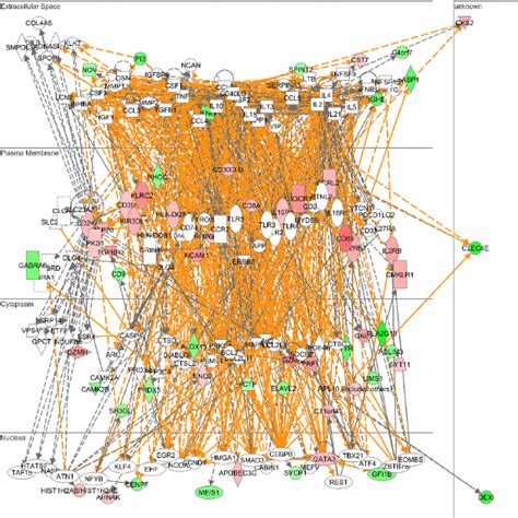 figure s2 combined network analysis ingenuity of differentially