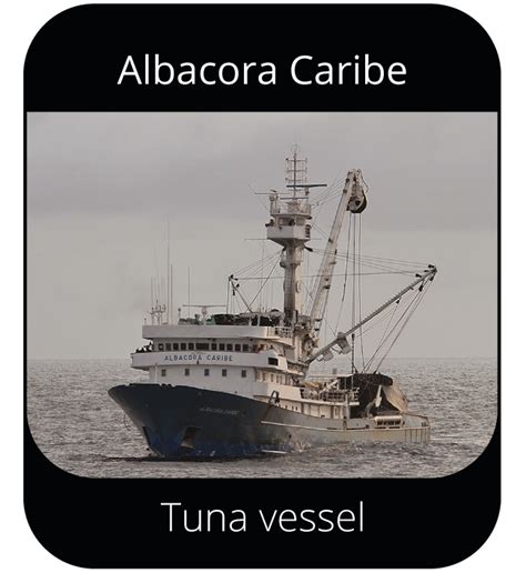 Albacora Caribe Norispan