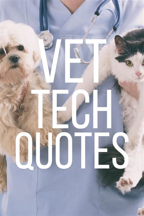Vet Tech Quotes Funny And Inspiring Vet Tech Sayings