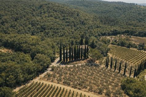 Private Chianti Wine And Goat Cheese Tour With Lunch And Medieval Village