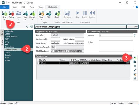 Working With Supplementary Media