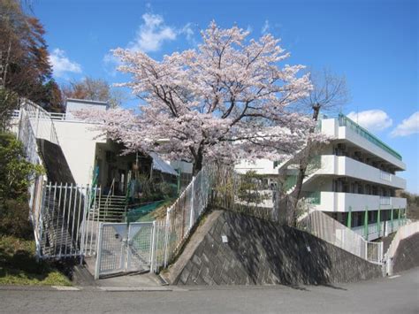 周辺を彩る花木たち 社会福祉法人それいゆ