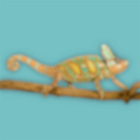 best genetic engineering courses and certificates [2025] coursera learn
