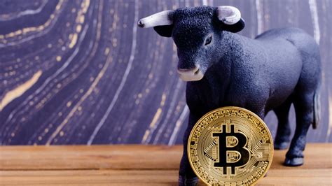 Bitcoin Ethereum Technical Analysis BTC Back Above Following Comments From Joe Rogan