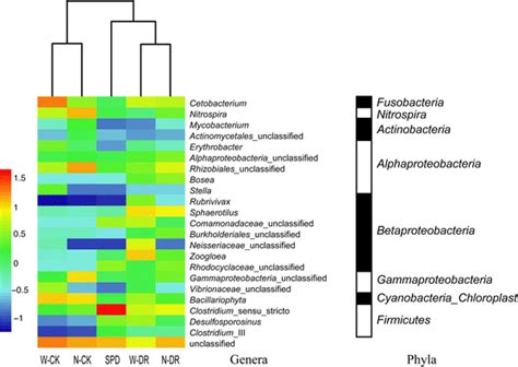 Heatmap Analysis Of Bacterial Community A Clustered Heatmap Of The 10