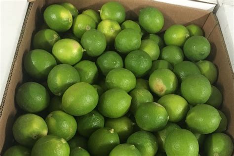 Precio del limón HOY 21 de septiembre cuánto cuesta el kilo en Lima y