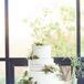 Eucalyptus Accented Naked Cake On Gold Stand