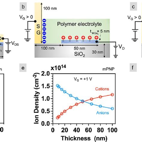 Calculated Ion And Carrier Densities As A Function Of Electrolyte Download Scientific Diagram