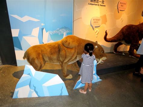 左鎮化石園區 如置身古生物樂園 社團法人中華民國保護動物協會