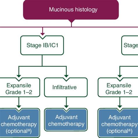 Adjuvant Chemotherapy For Patients With Early Stage Mucinous Ovarian