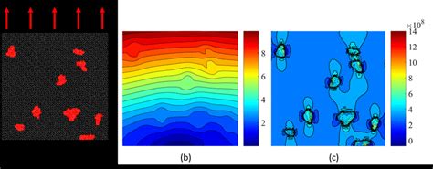 Meshfree Simulation Of Ct Scanned Model With 10592 Particles A