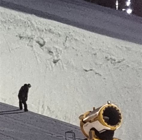 스노우보드 보드문 호크 리프트의 잦은 고장 그럼에도 스프링을 호크 리프트만으로 강행 오늘은 고장으로 인해 운영 불가 9시부터 급히 스페로우를 오픈할 준비를 하고