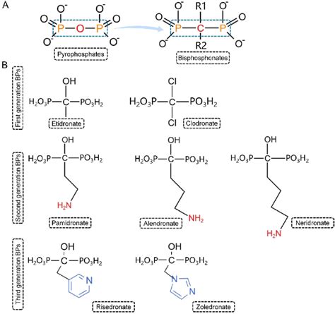 Chemistry Structures Of Bps A Structural Similarities And Differences