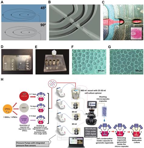 3d flow‐focusing chip design and fabrication and schematic