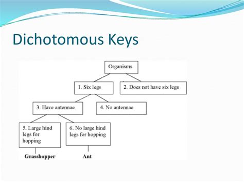 Classifying Living Organisms Ppt Download