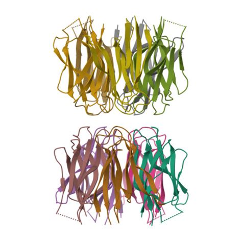 Rcsb Pdb 2p1b Crystal Structure Of Human Nucleophosmin Core