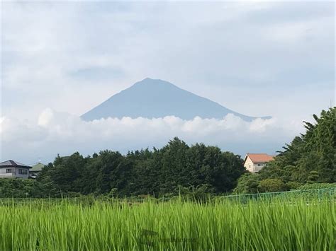 富士宮に帰って来たら久しぶりの富士山が 静岡県富士宮市 がーねっと ウェザーニュース