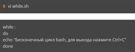 Циклы в Bash OTUS