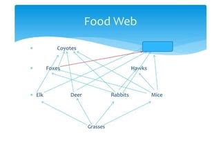 Four Square Writing Method PPT