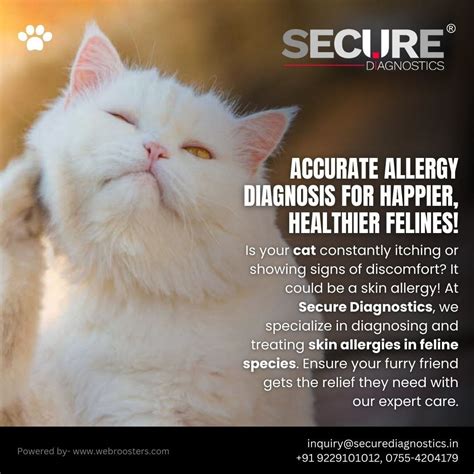 Secure Diagnostics Pvt Ltd Securediagnostics • Instagram Photos And Videos