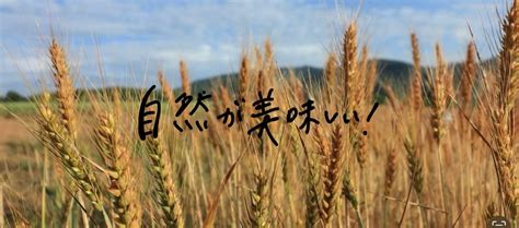 茎工房「ナチュラルビーガンクッキー」