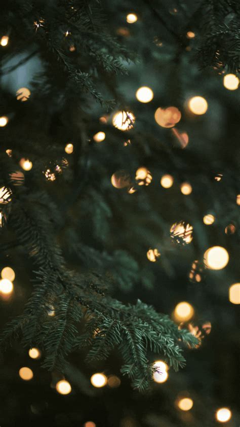 “ШҮҮХИЙН ШИЙДВЭРЭЭР ӨРТЭЙ ЭСЭХ ТОДОРХОЙЛОЛТ” ЫГ 2022 ОНЫ 01 ДҮГЭЭР САРЫН 17 НООС 20 НЫ ХООРОНД