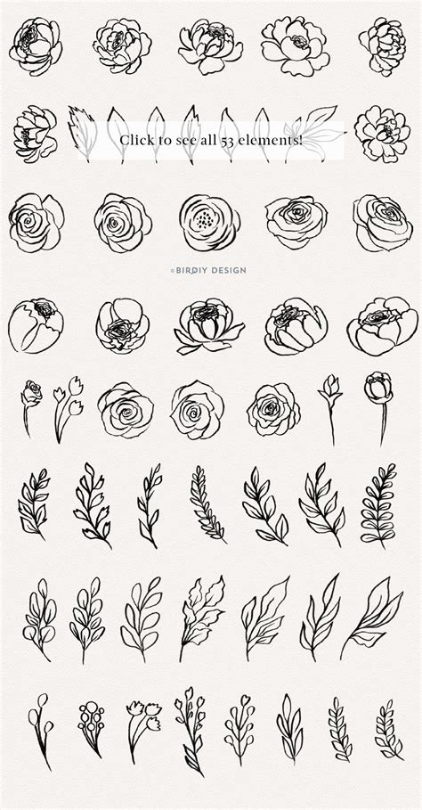 Floral Botanical Illustrations By Birdiy Design Thehungryjpeg