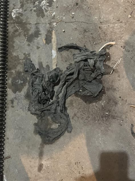 As Long As People Keep Flushing This Stuff Plumbers Will Never Go Hungry Rplumbing