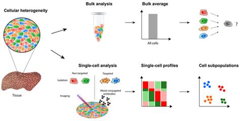 Advances In Mass Spectrometry Based Single Cell Analysis