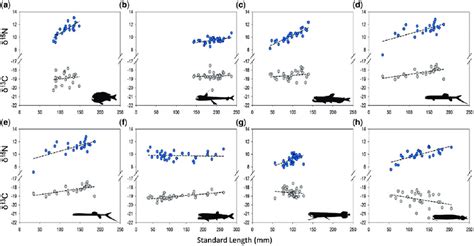 Results Of Least Squares Regression Analysis Between Standard Length Download Scientific