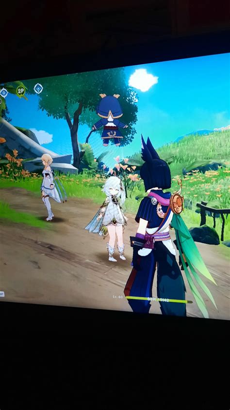 Sumeru Characters Randomly Appearing In Coop Only For Me R Genshin Impact