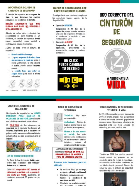 Uso Correcto Del Cinturón De Seguridad Pdf Cinturón De Seguridad