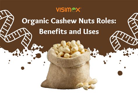 Organic Cashew Nuts Roles Benefits And Uses Visimex