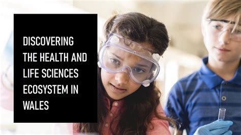 Exploring The Health And Life Sciences Ecosystem In Wales