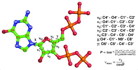 Different Torsion Angles In The Structure Of P Ppgpp The Glycosidic