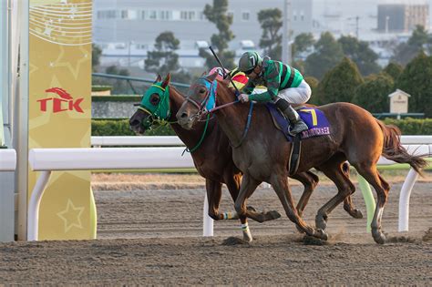 南関東地方競馬チャンネル