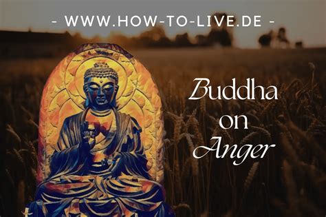 Buddhas Greatest Quotes About Anger Learn From Them How To Live