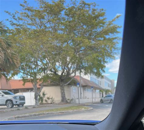 Mri Scan And Imaging Center Updated August 2024 14 Photos And 57