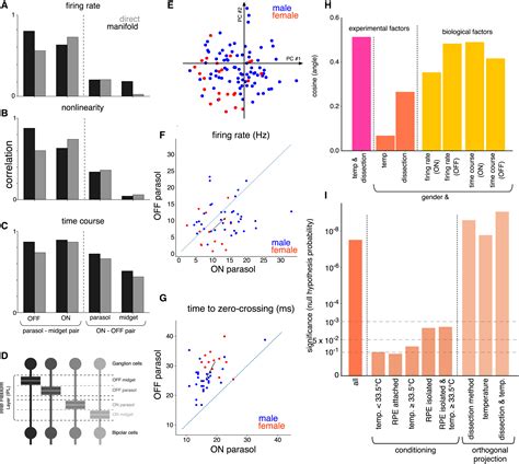 Individual Variability Of Neural Computations In The Primate Retina Neuron