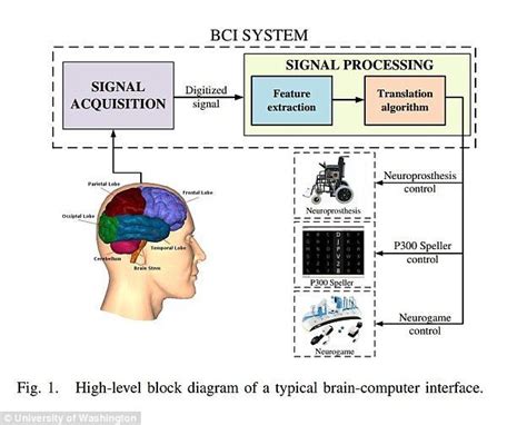 A Block Diagram Of A Typical Brain Computer Interface Including The