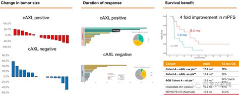 Fda授予bemcentinib治疗nsclc快速通道资格nsclc免疫疗法fdaaxl治疗患者阳性临床 健康界
